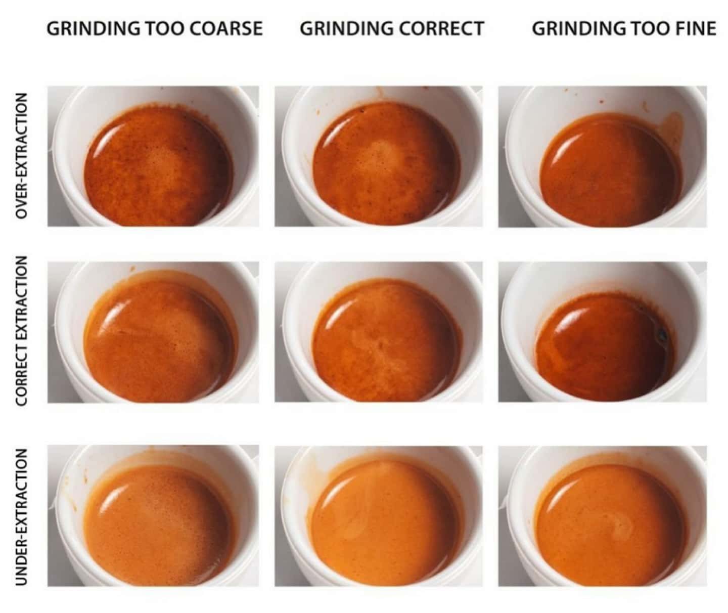 LUCAS ESPRESSO - Signature Blend (Roast: Medium ) 🌱New Crop🌱 - Lucas Coffee